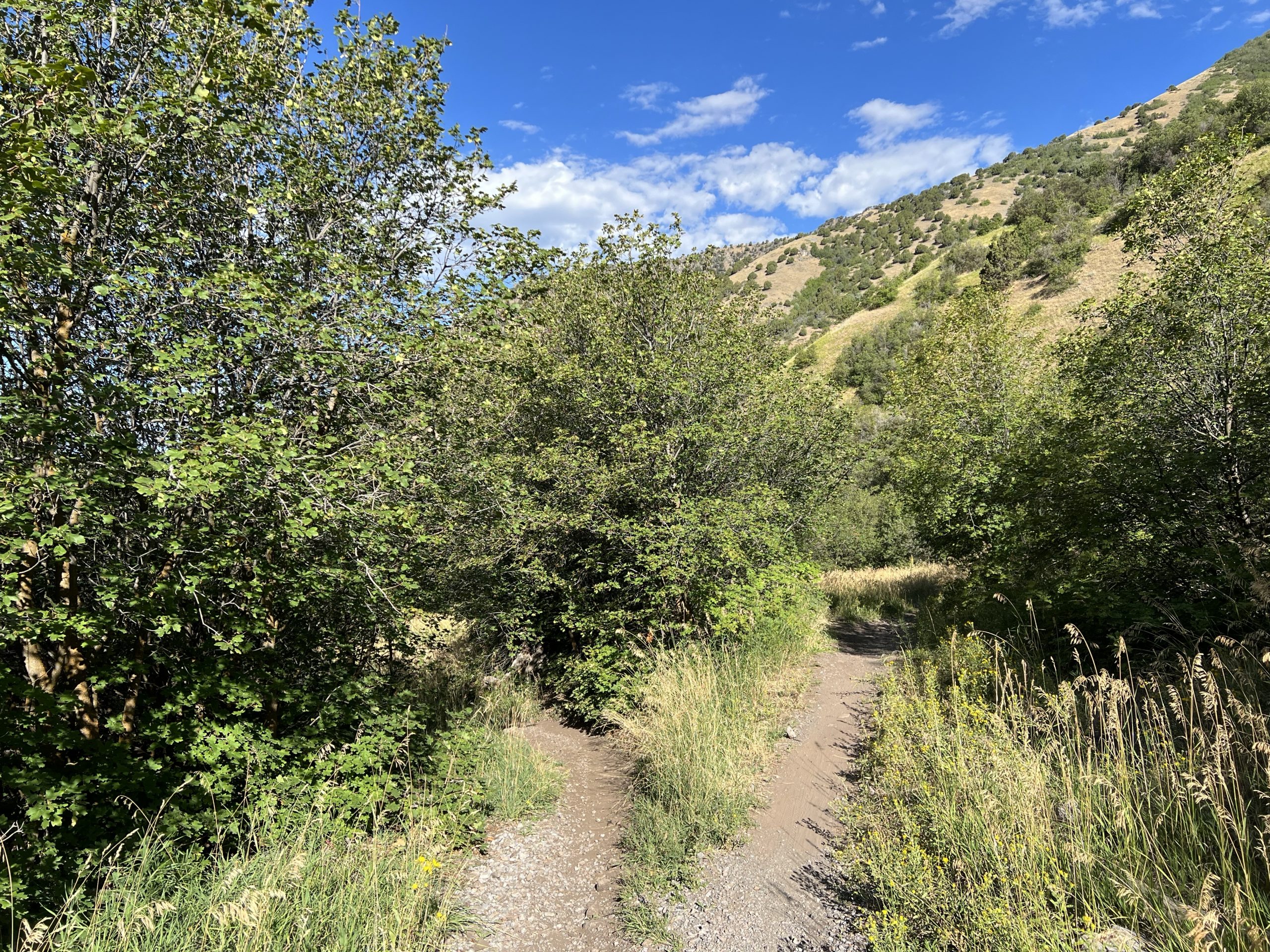 Choose Wisely – The Bike Crank