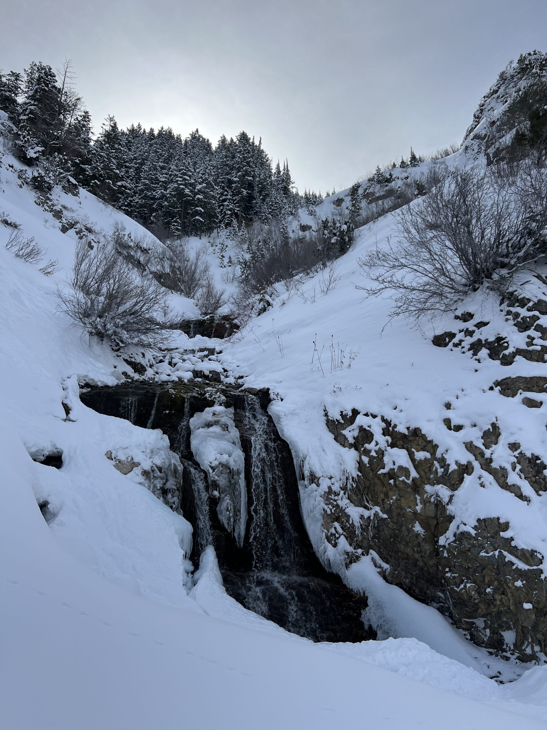 Ideal conditions. I couldn’t stop. – The Bike Crank