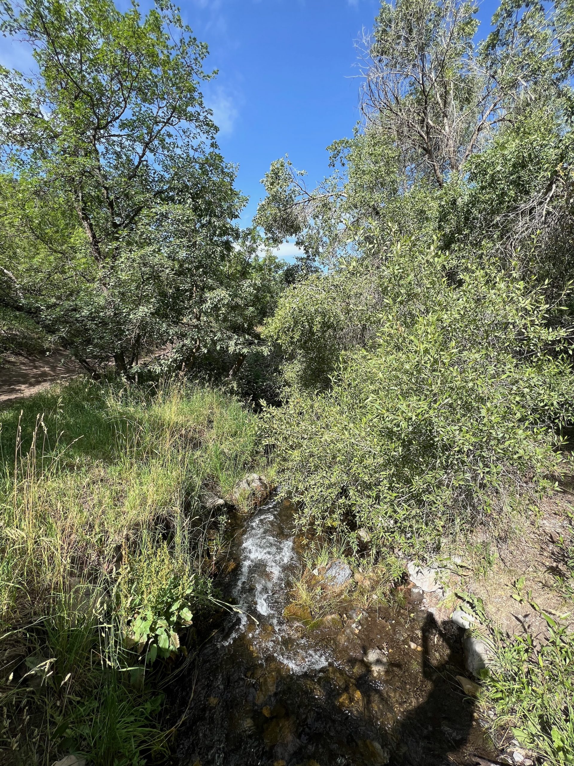 Holy Brain Buckets of Sweat it’s Hot! – The Bike Crank