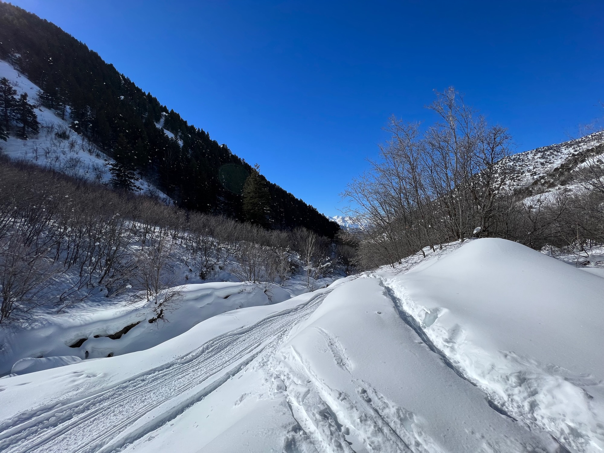 Wow, so wow – The Bike Crank