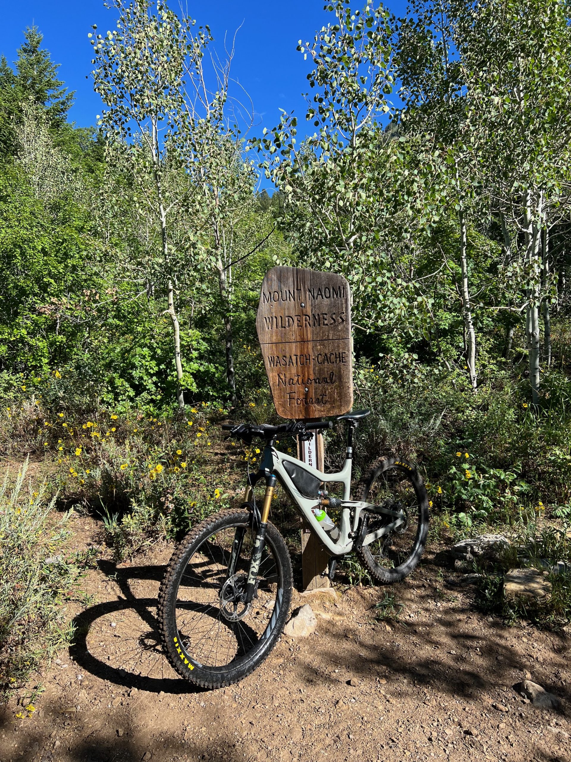 Wet weed wacking – The Bike Crank