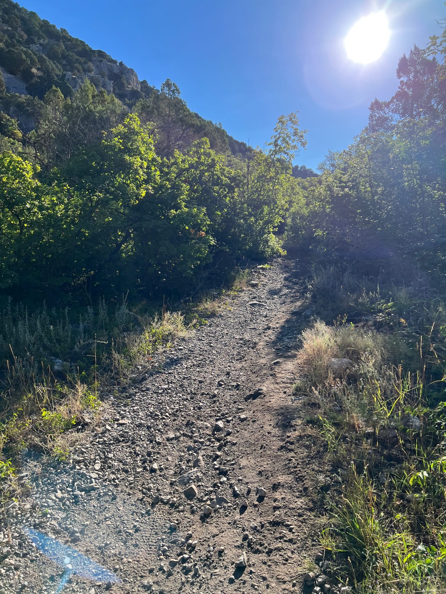 RIP Ripley (rear shifter) – The Bike Crank