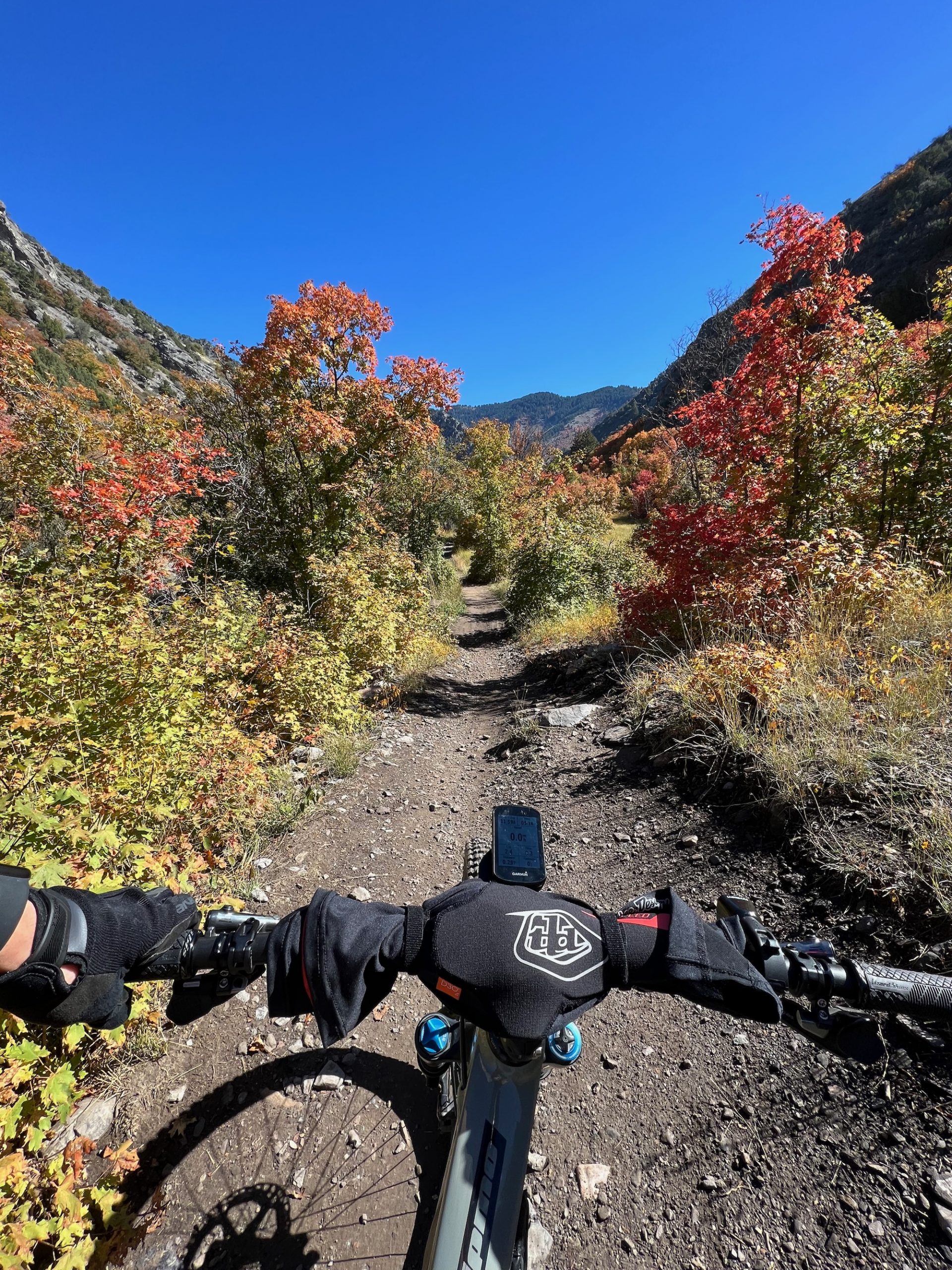 Fall MTB Festival – The Bike Crank