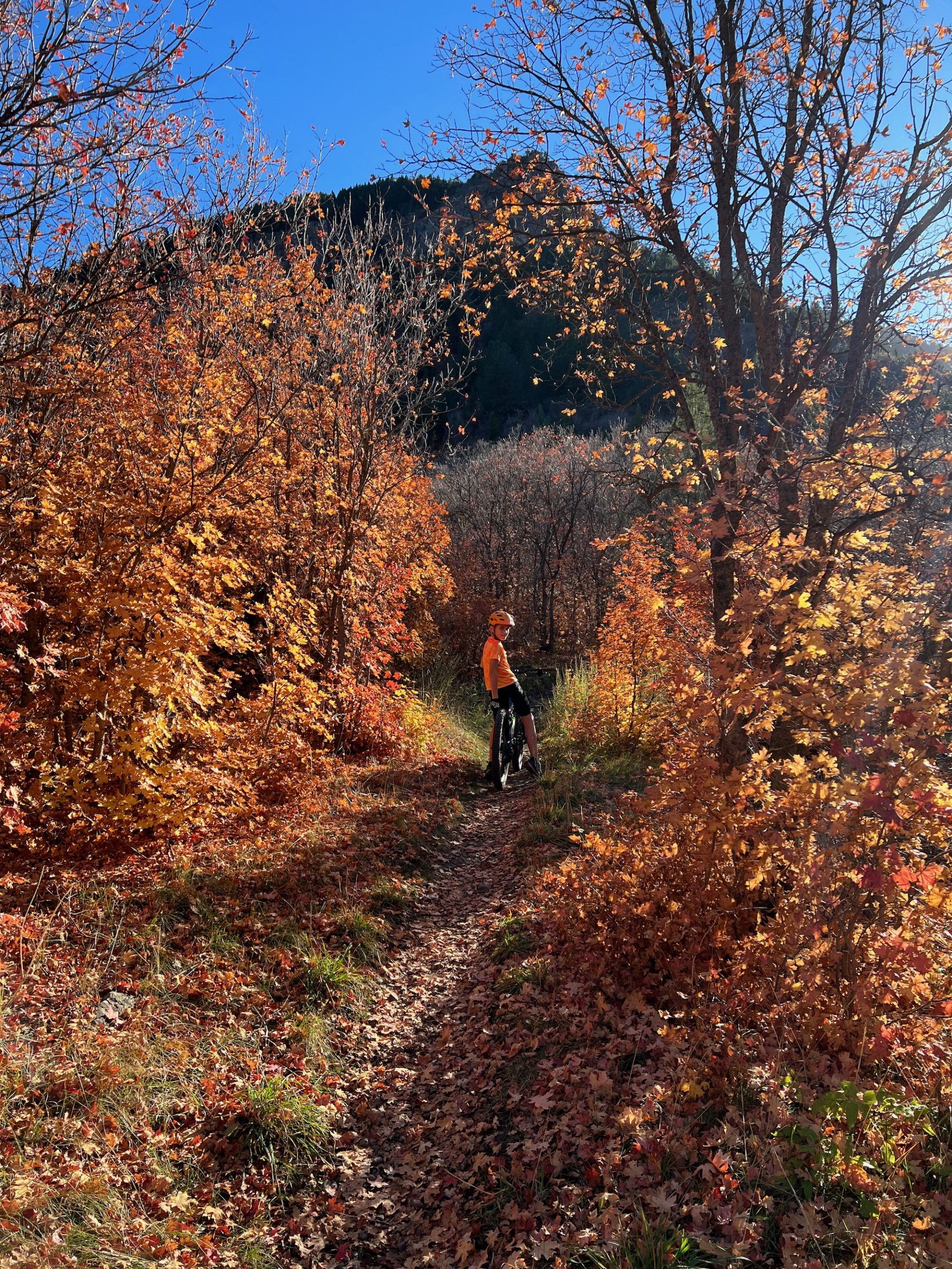 Logan River Trail – The Bike Crank