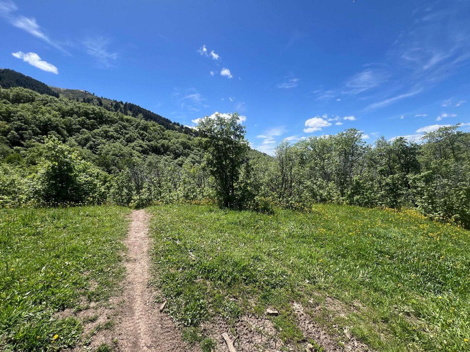 The Bridges of Millville Canyon – The Bike Crank
